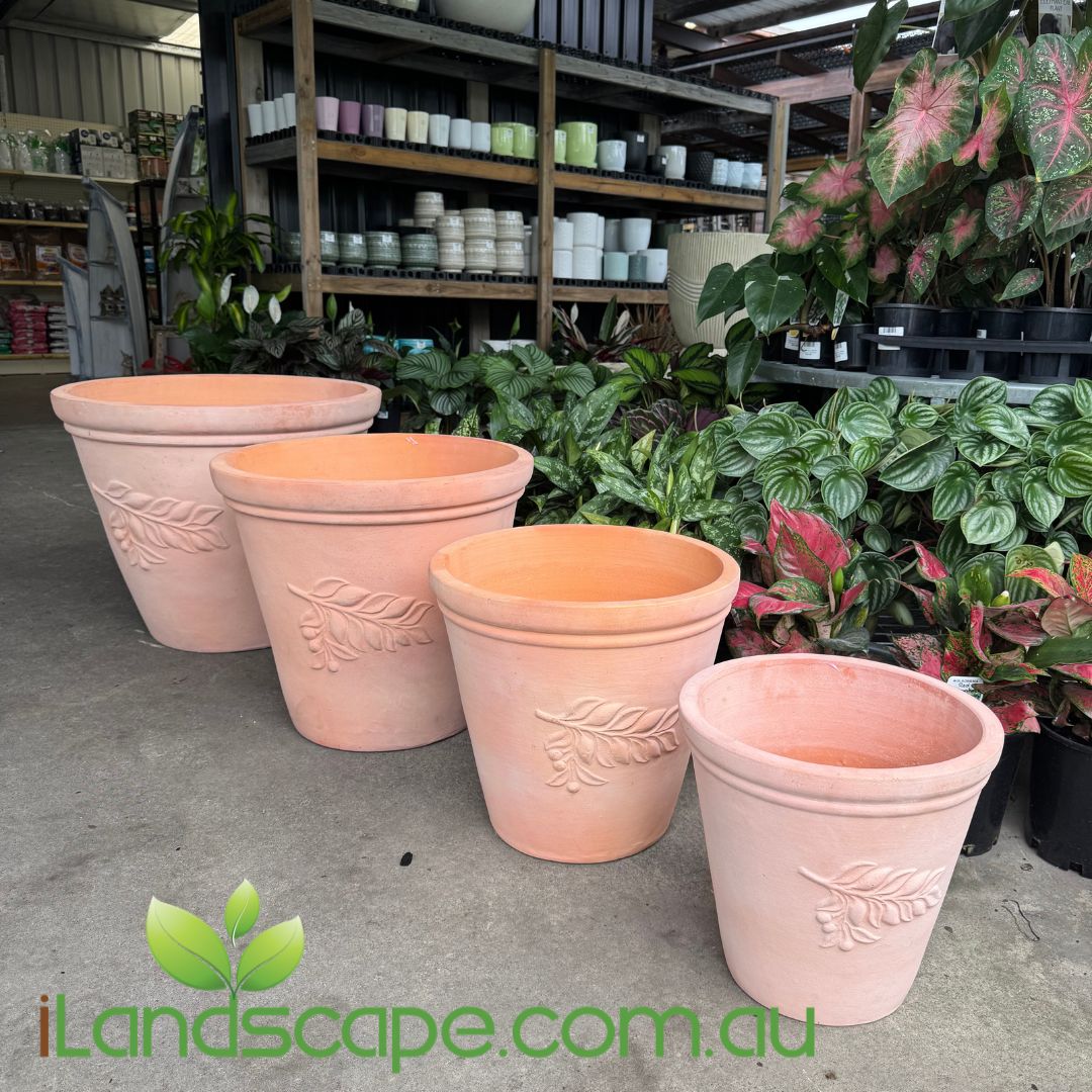 Terracotta and Glazed Pots – Sunshine Coast Nursery & Garden Centre