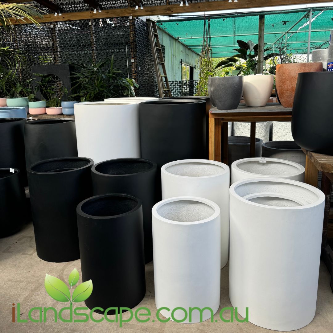 The Sunshine Coast Nursery and Garden Centre - Caloundra – Sunshine ...