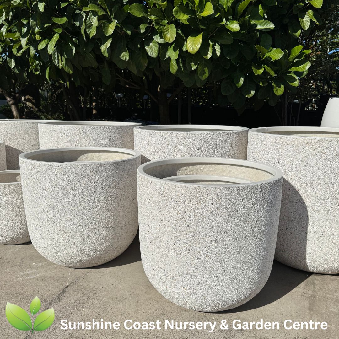 Ellie Pebble Pot – Sunshine Coast Nursery & Garden Centre