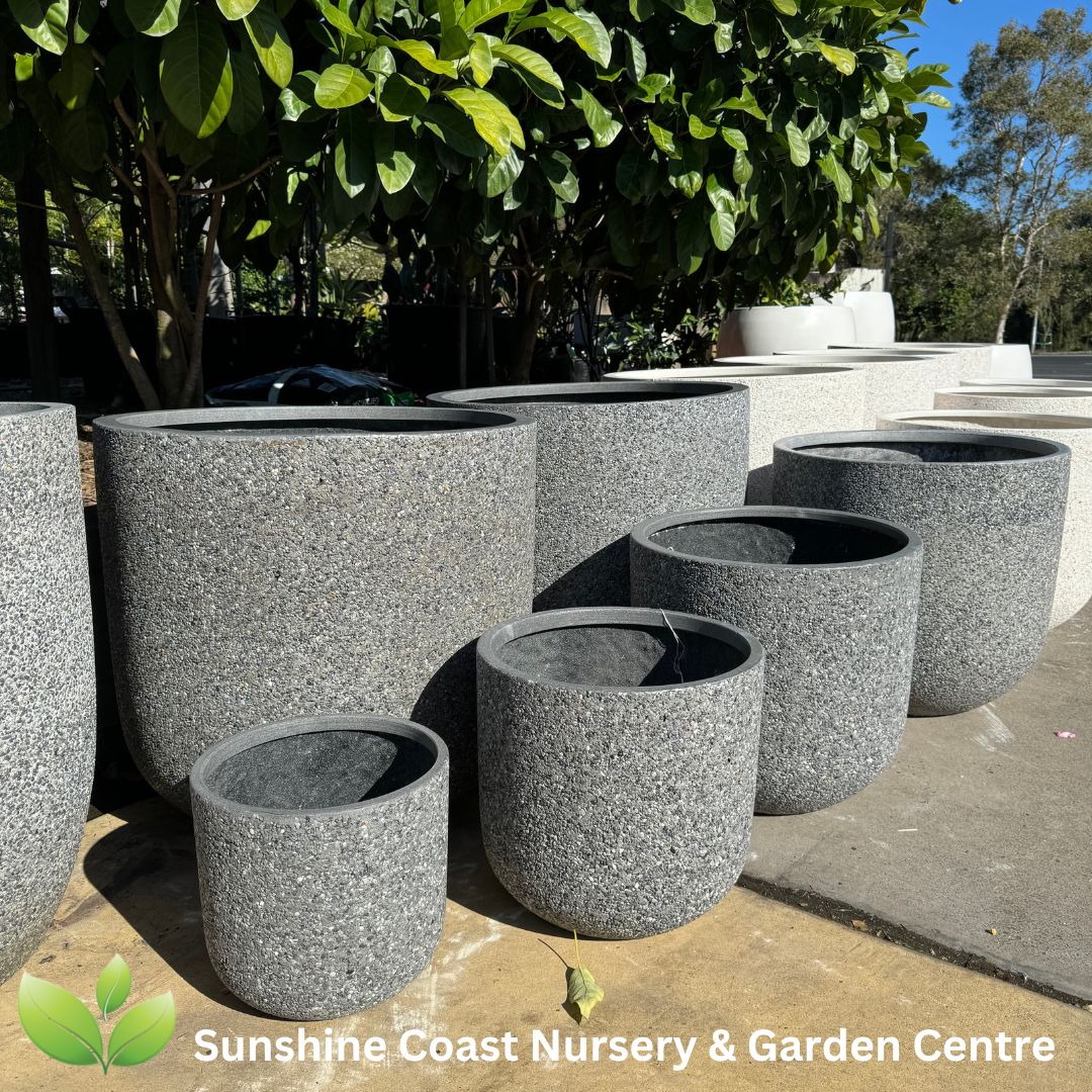 The Sunshine Coast Nursery and Garden Centre - Caloundra – Sunshine ...