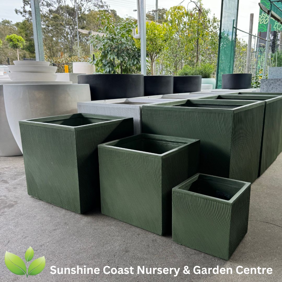 Helix Cube Planter Pot – Sunshine Coast Nursery & Garden Centre