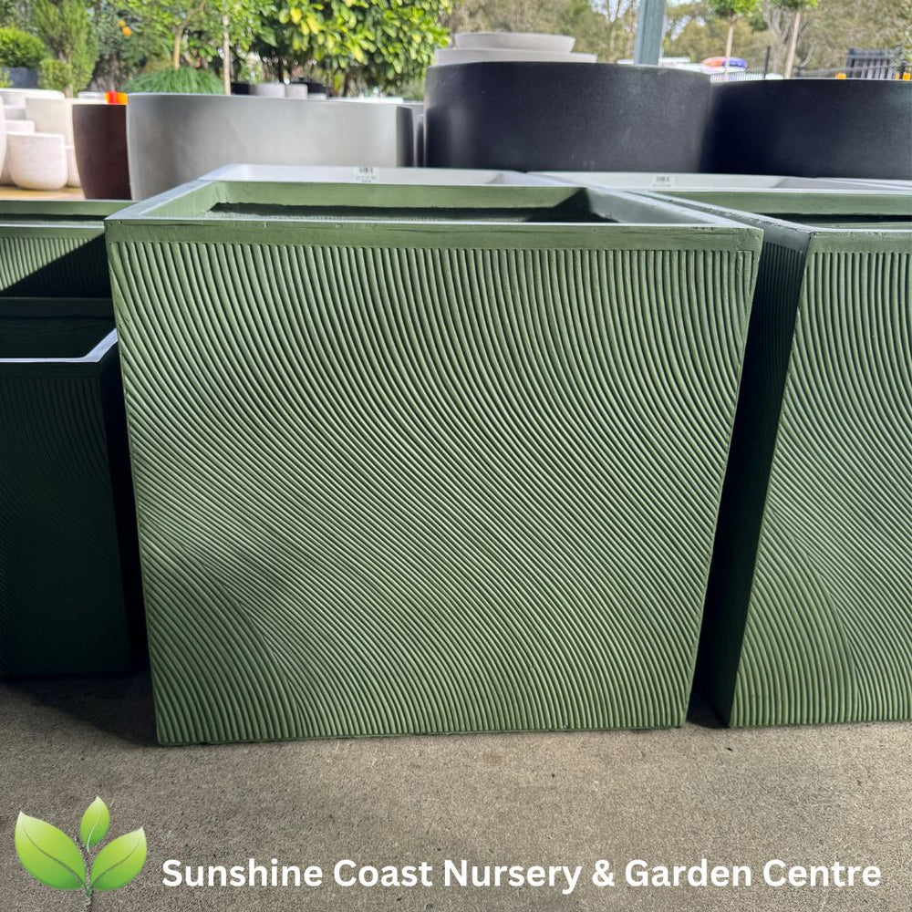Helix Cube Planter Pot – Sunshine Coast Nursery & Garden Centre