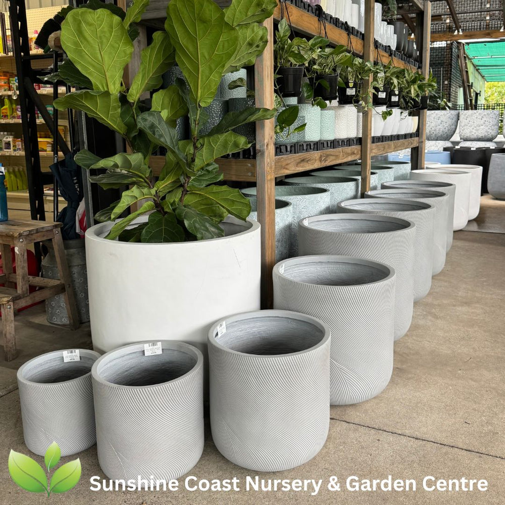Helix Cylinder Planter Pot – Sunshine Coast Nursery & Garden Centre