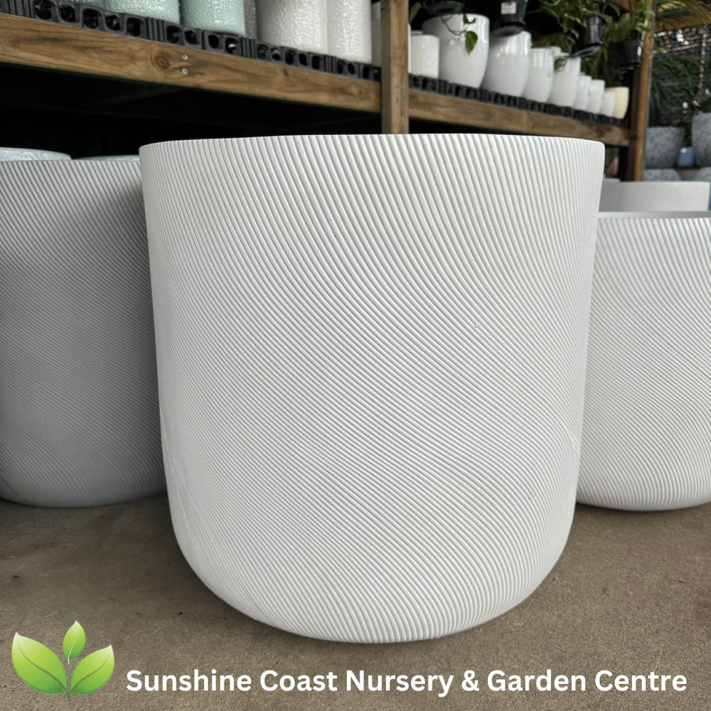Helix Cylinder Planter Pot – Sunshine Coast Nursery & Garden Centre