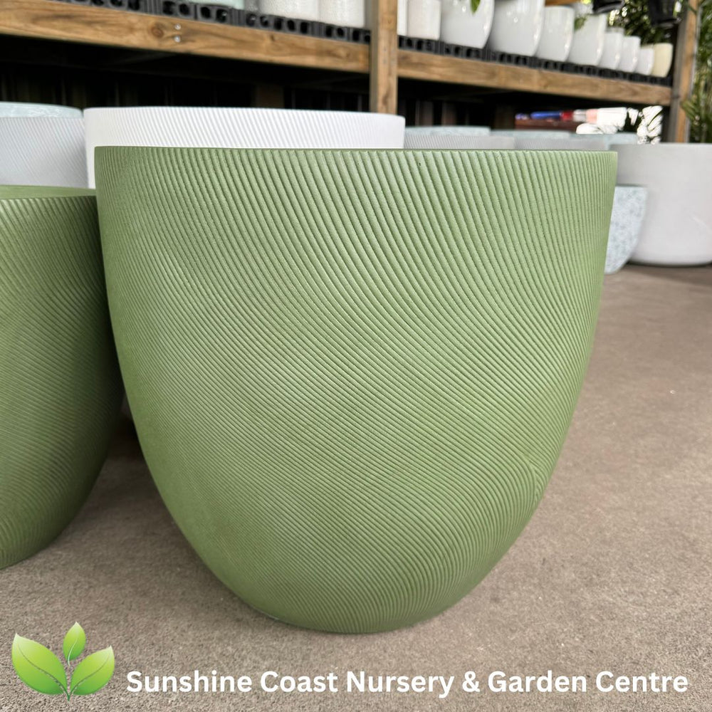 Helix Egg Planter Pot – Sunshine Coast Nursery & Garden Centre