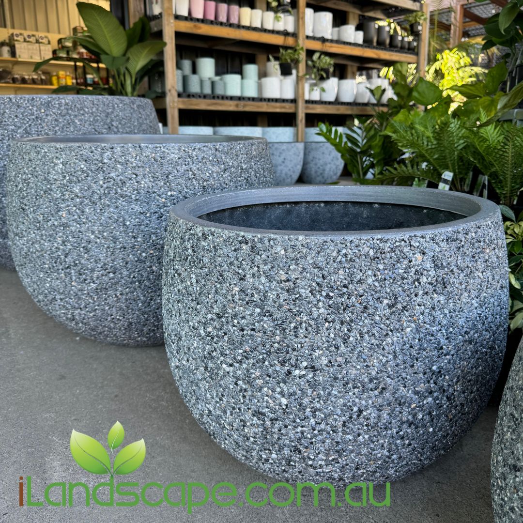 Mega Belly Pot - Pebble Finish – Sunshine Coast Nursery & Garden Centre