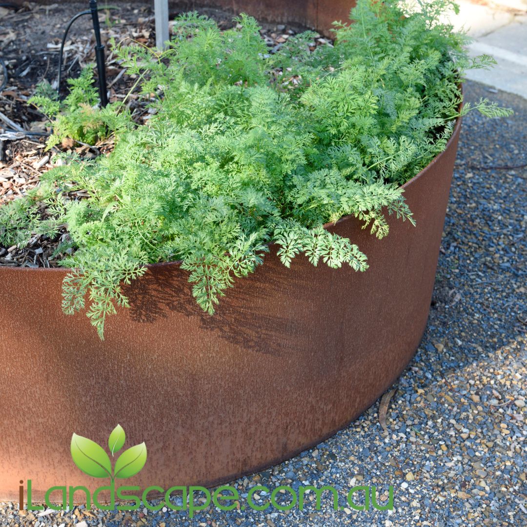 Redcor Garden Edging X 2.4m Lengths – Sunshine Coast Nursery & Garden ...