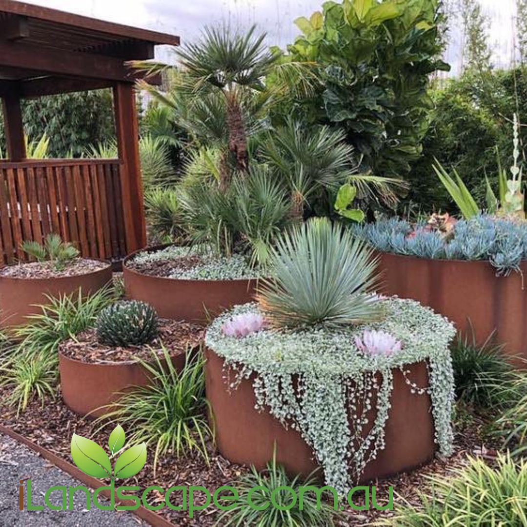 Redcor Steel Rings - 575mm Diameter – Sunshine Coast Nursery & Garden ...