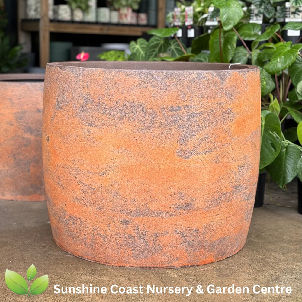 Storm Cylinder Pot – Sunshine Coast Nursery & Garden Centre