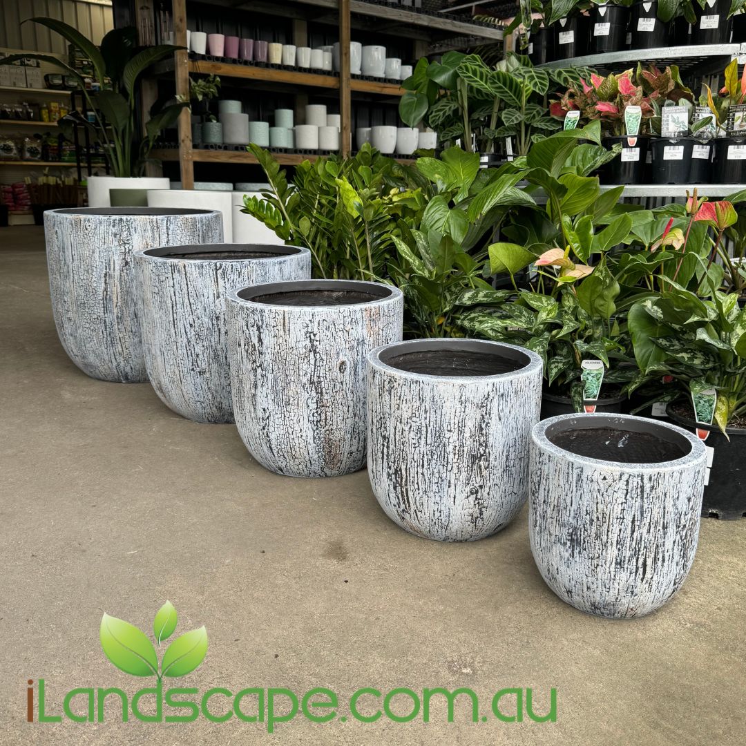 Willow Planter U Pot – Sunshine Coast Nursery & Garden Centre