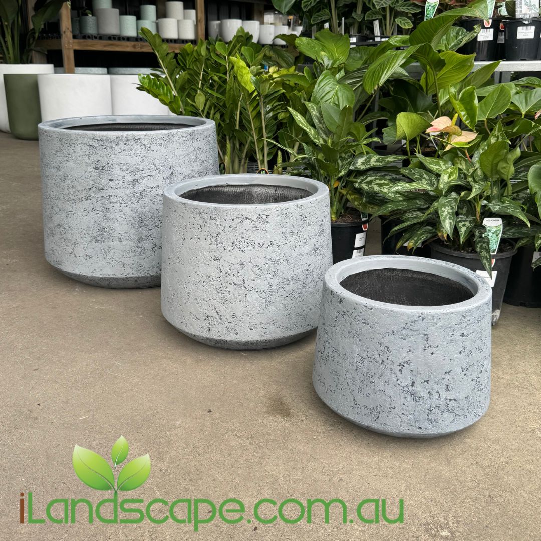Zenith Planter Pot – Sunshine Coast Nursery & Garden Centre