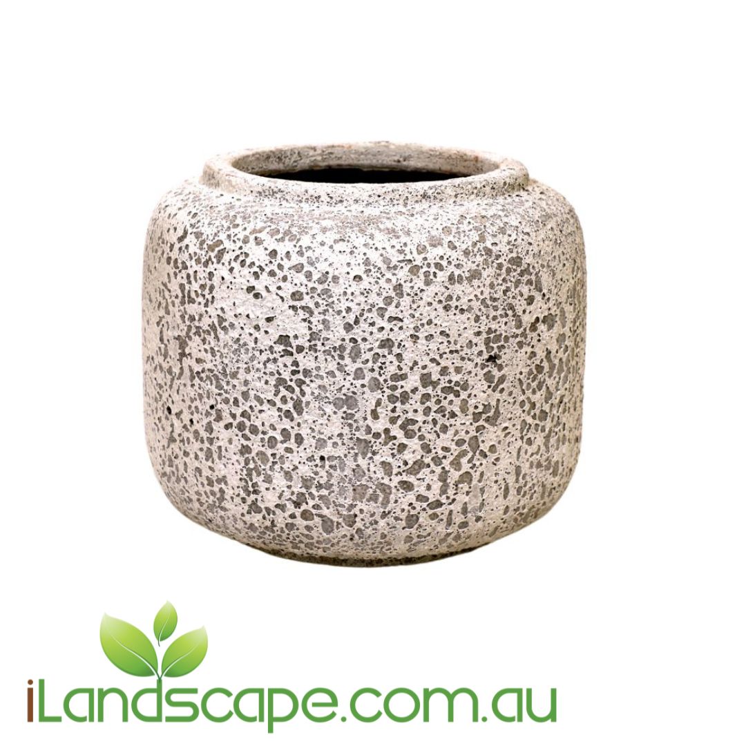 Ancient Vogue Squat Pot – Sunshine Coast Nursery & Garden Centre