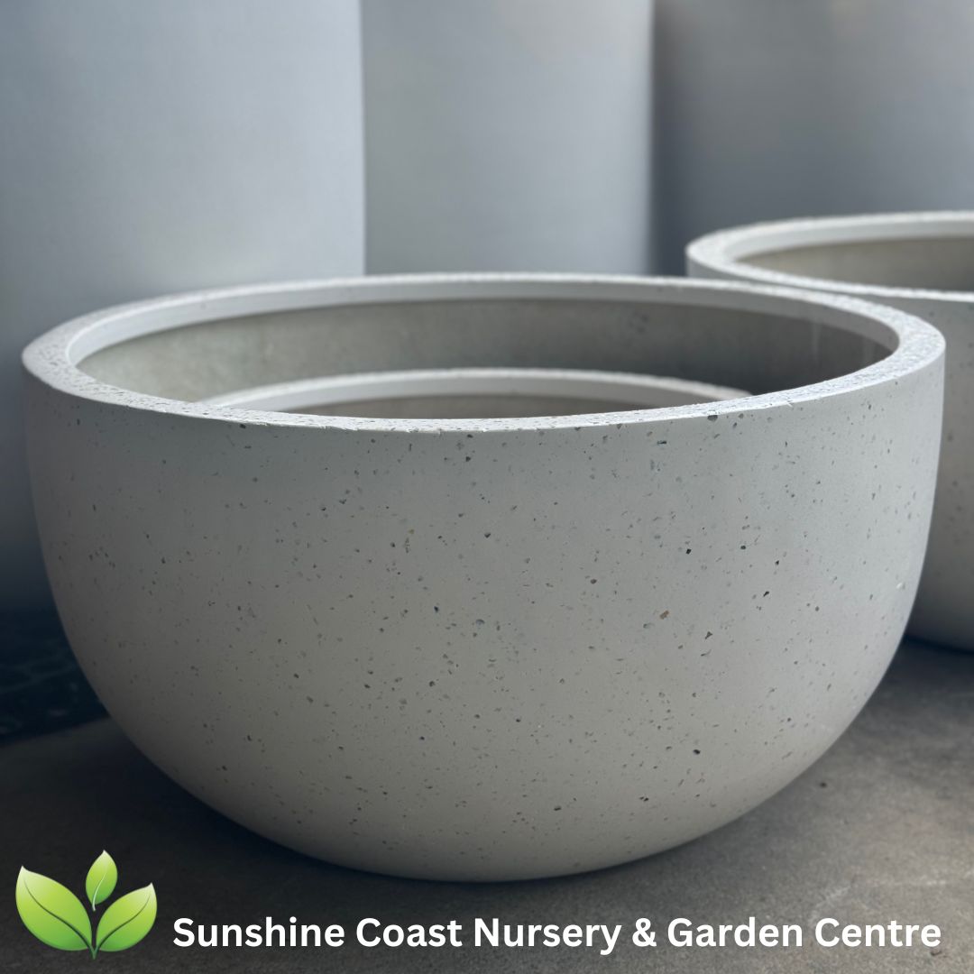 Chamber Bowl – Sunshine Coast Nursery & Garden Centre