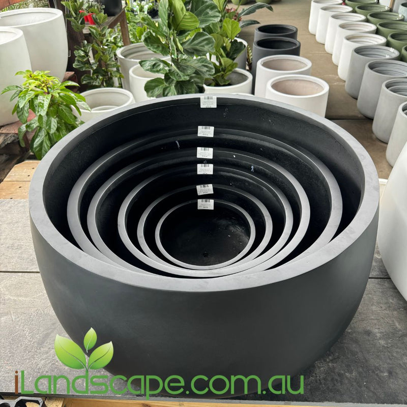 Buy Plants Online or In-Store | Sunshine Coast Garden Centre – Sunshine ...