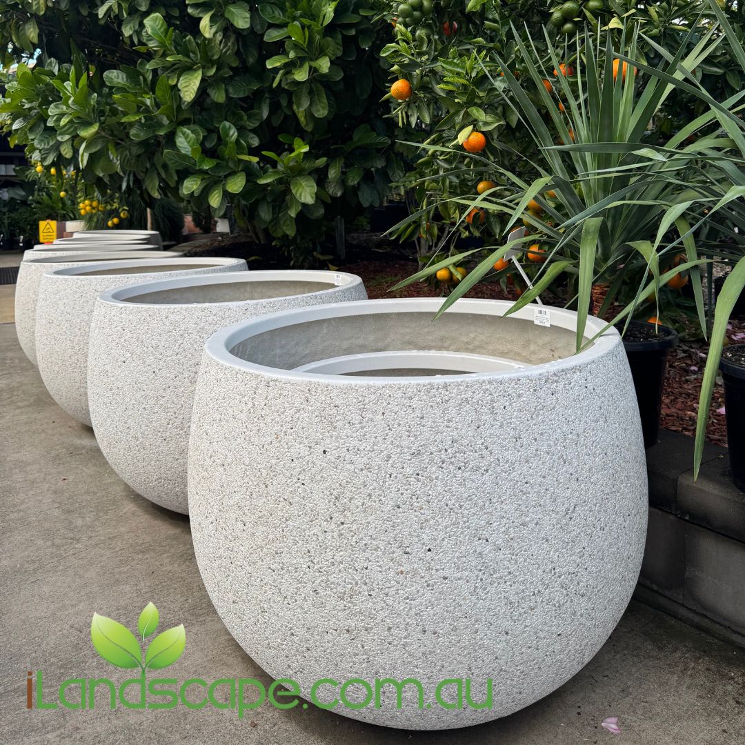 Mega Belly Pot – Pebble Finish | Large Modern Planter | Sunshine Coast ...