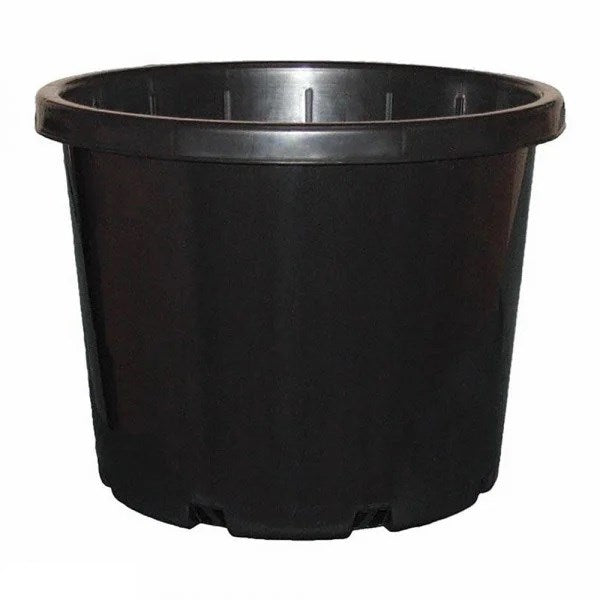 Black Poly Planter Pots – Sunshine Coast Nursery & Garden Centre